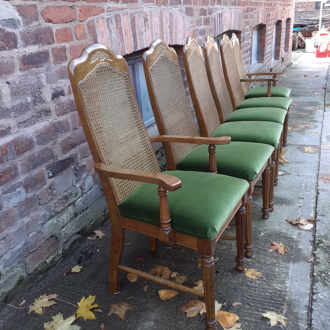 Autumn Chairs - Twine Interiors ltd